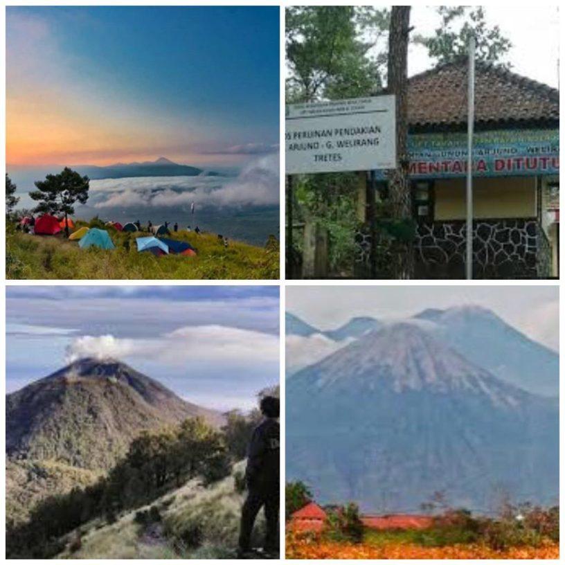 Mount Arjuno Trekking Welirang